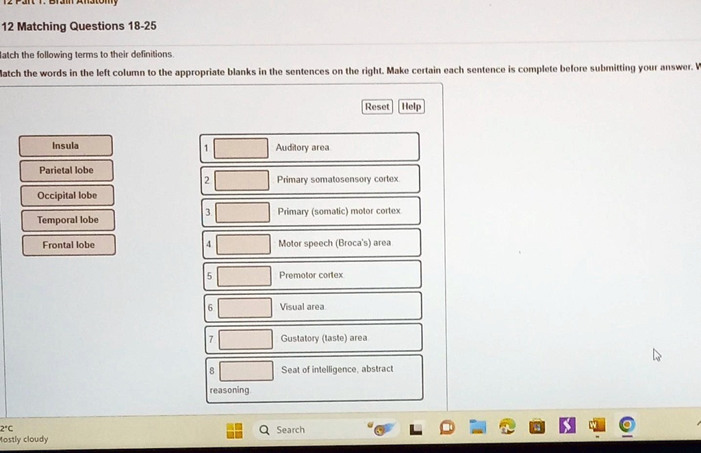 SOLVED: Texts: 1. Part T. Blalm Anatomy 12 Matching Questions 18-25 Match the following terms to ...