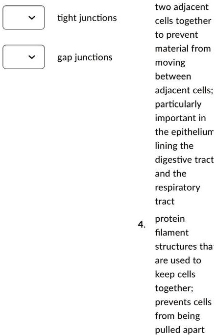 two adjacent cells together to prevent material from moving between ...