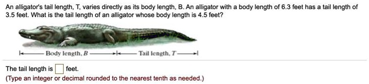 SOLVED: An alligator's tail length; T, varies directly as its body ...