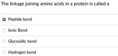 The linkage joining amino acids in a protein is called...