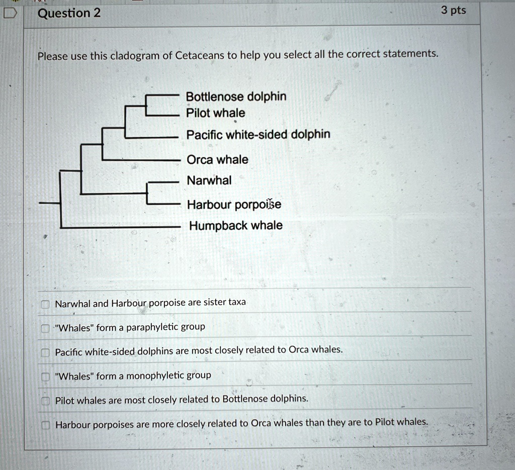 question 2 please use this cladogram of cetaceans to help you select ...