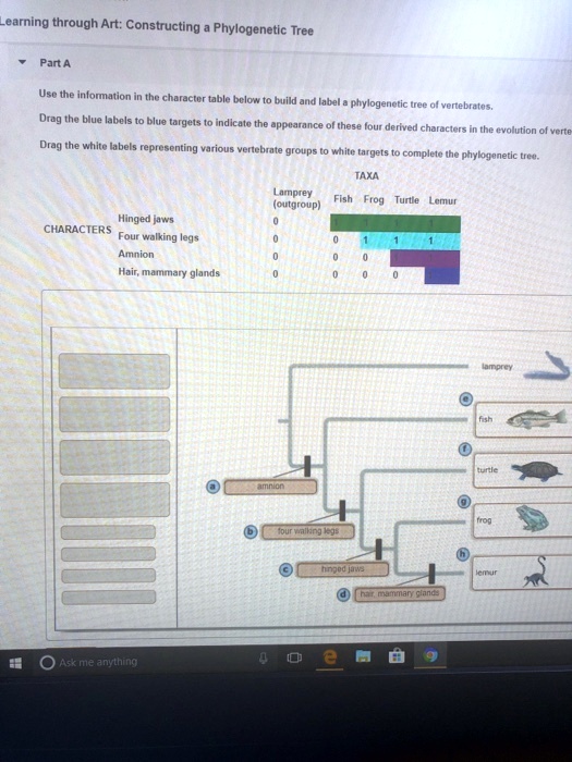SOLVED: earning through Art: Constructing Phylogenetic Tree PanA Use ...