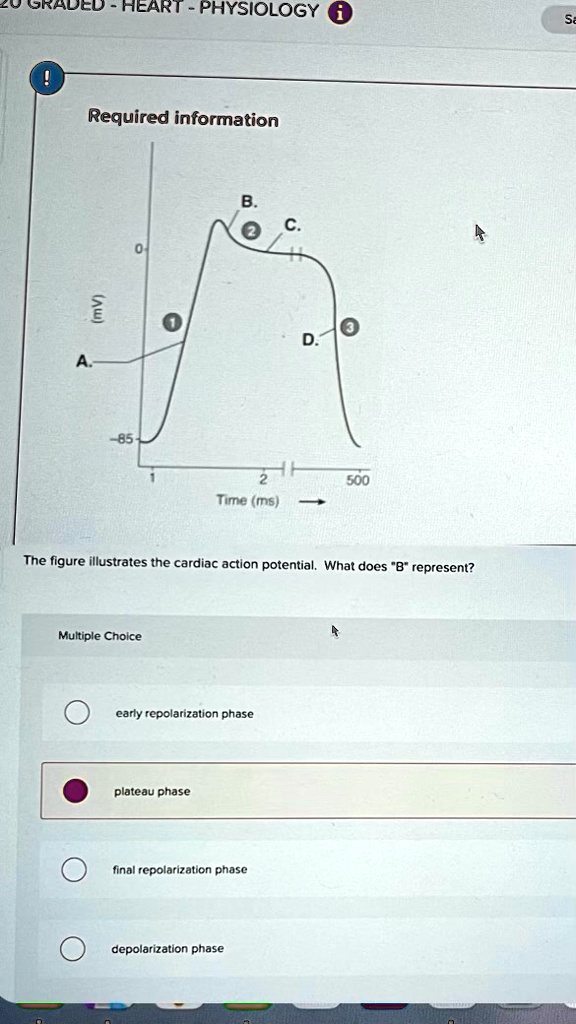 required information the figure illustrates the cardiac action ... required information the figure illustrates the cardiac action ...