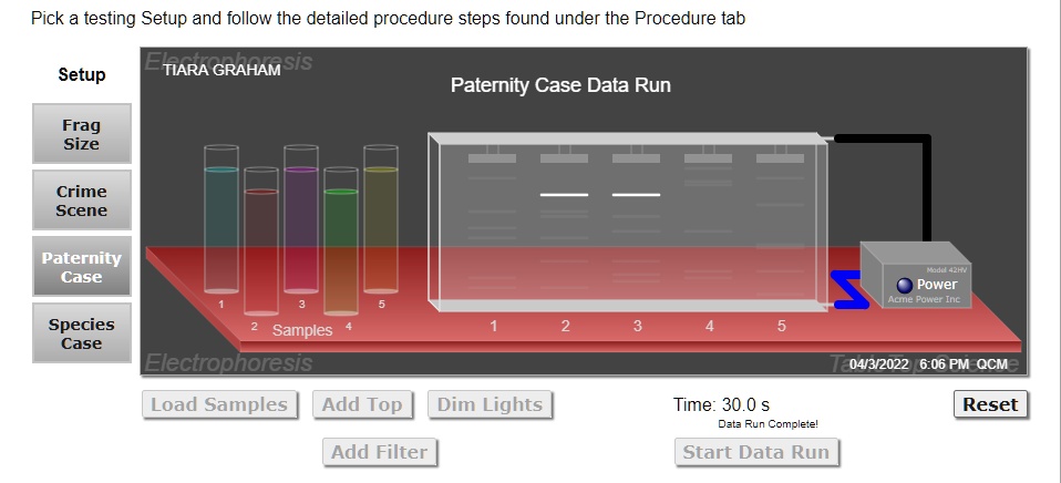 after adding the probe and filter what additional information have you ...