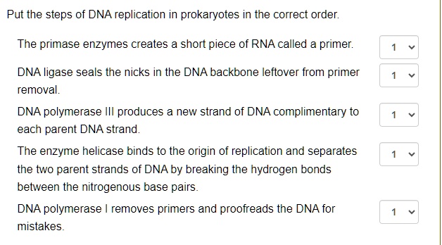 Put the steps of DNA replication in prokaryotes in the correct order ...