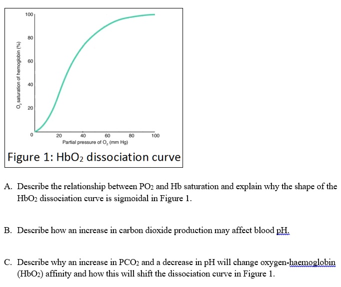 100 80 O? saturation of hemoglobin (%) 60 40 20 0 20 40 60 80 100 ...