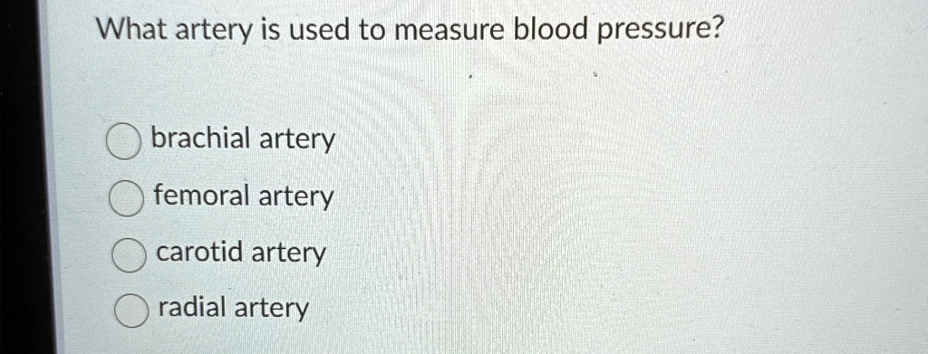 What artery is used to measure blood pressure? brachial artery femoral ...