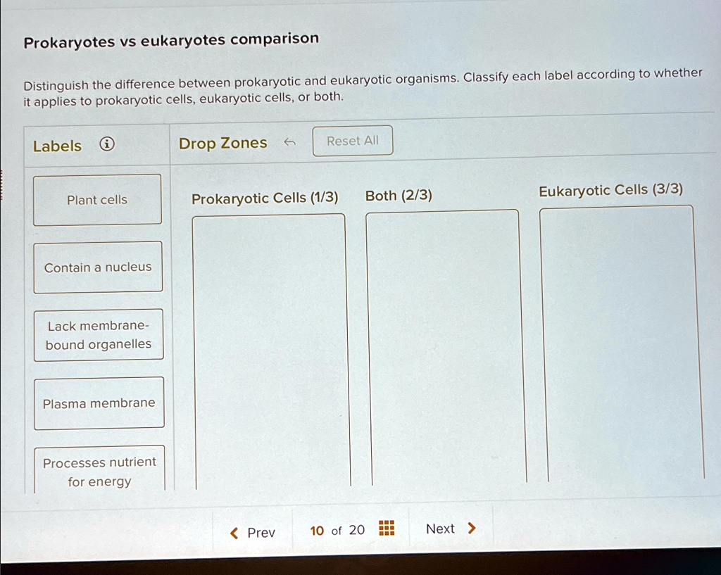Prokaryotes vs eukaryotes comparison Distinguish the difference between ...
