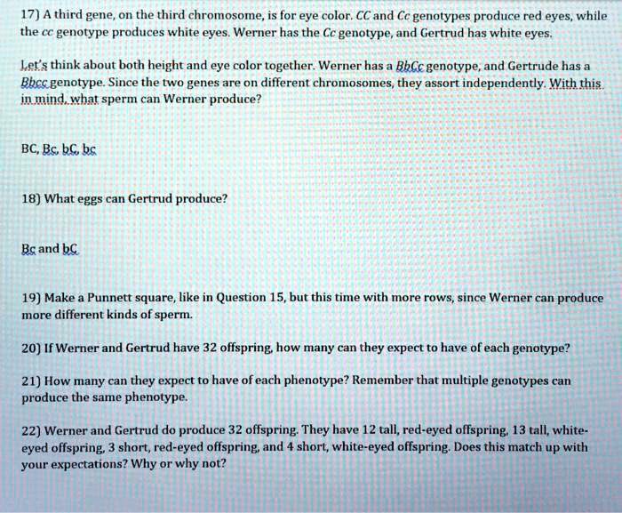 SOLVED:17) A third gene_ on the third chromosome, is for eye color; CC ...