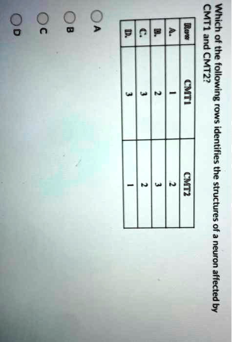 which 1 2 and cmt2 the following 2 identifies the cmt2 structures 2 ...