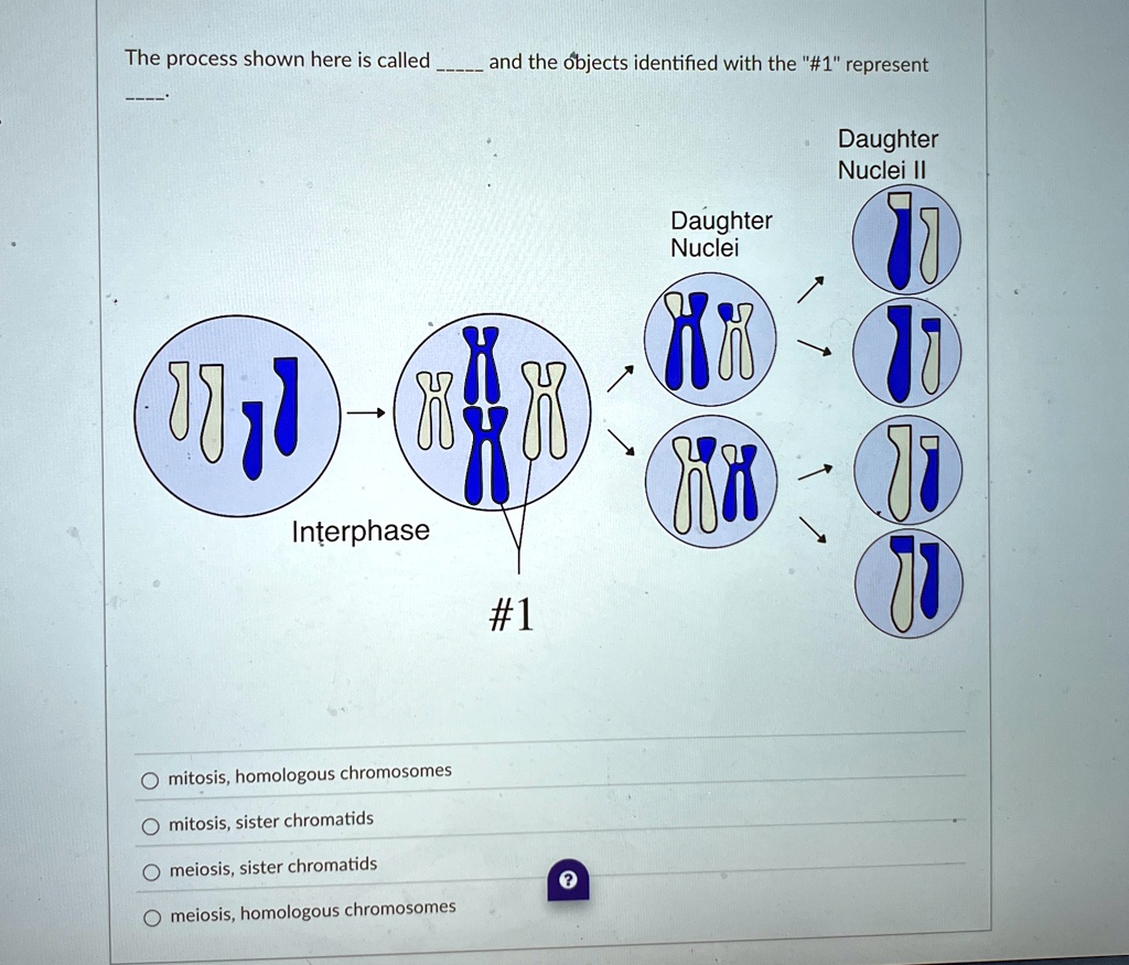 The process shown here is called and the objects identified with the ...
