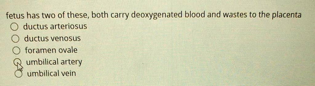 SOLVED: fetus has two of these, both carry deoxygenated blood and ...