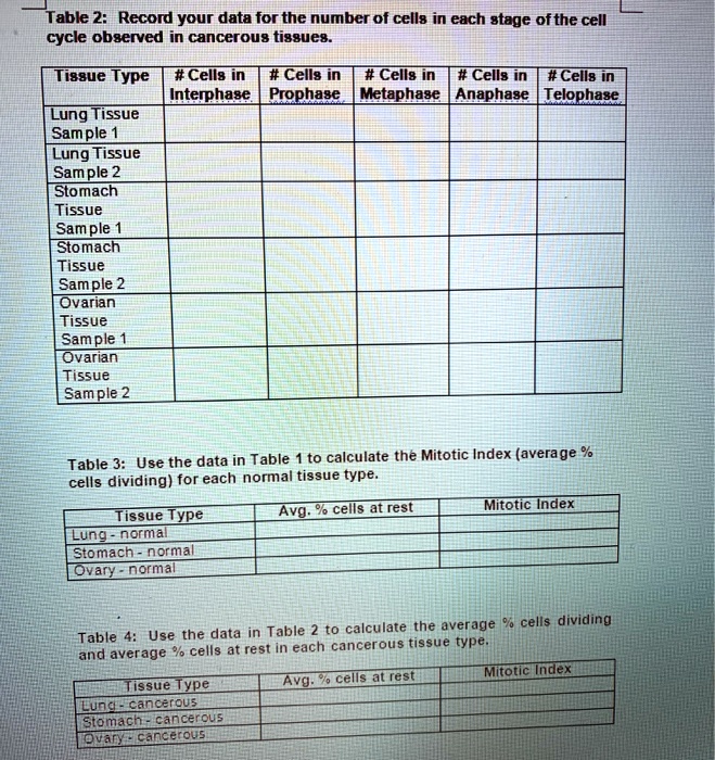 SOLVED:Table 2: Record your data for the number of cells in each stage of the cell cycle ...