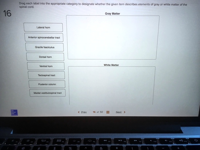 16 Drag each label into the appropriate category to designate whether the given item describes ...
