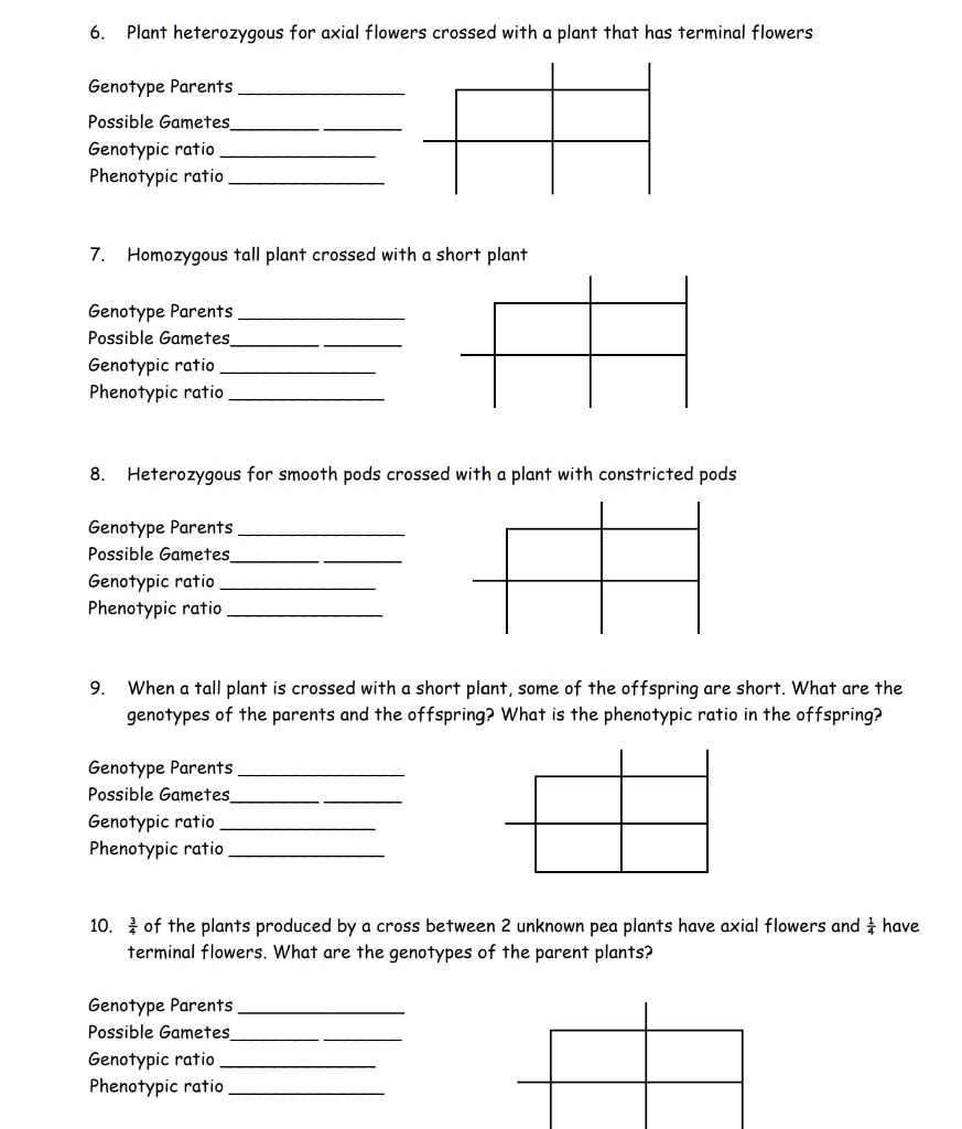 plant heterozygous for axial flowers crossed with a plant that has ...
