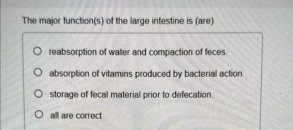 The major function(s) of the large intestine is (are) reabsorption of ...