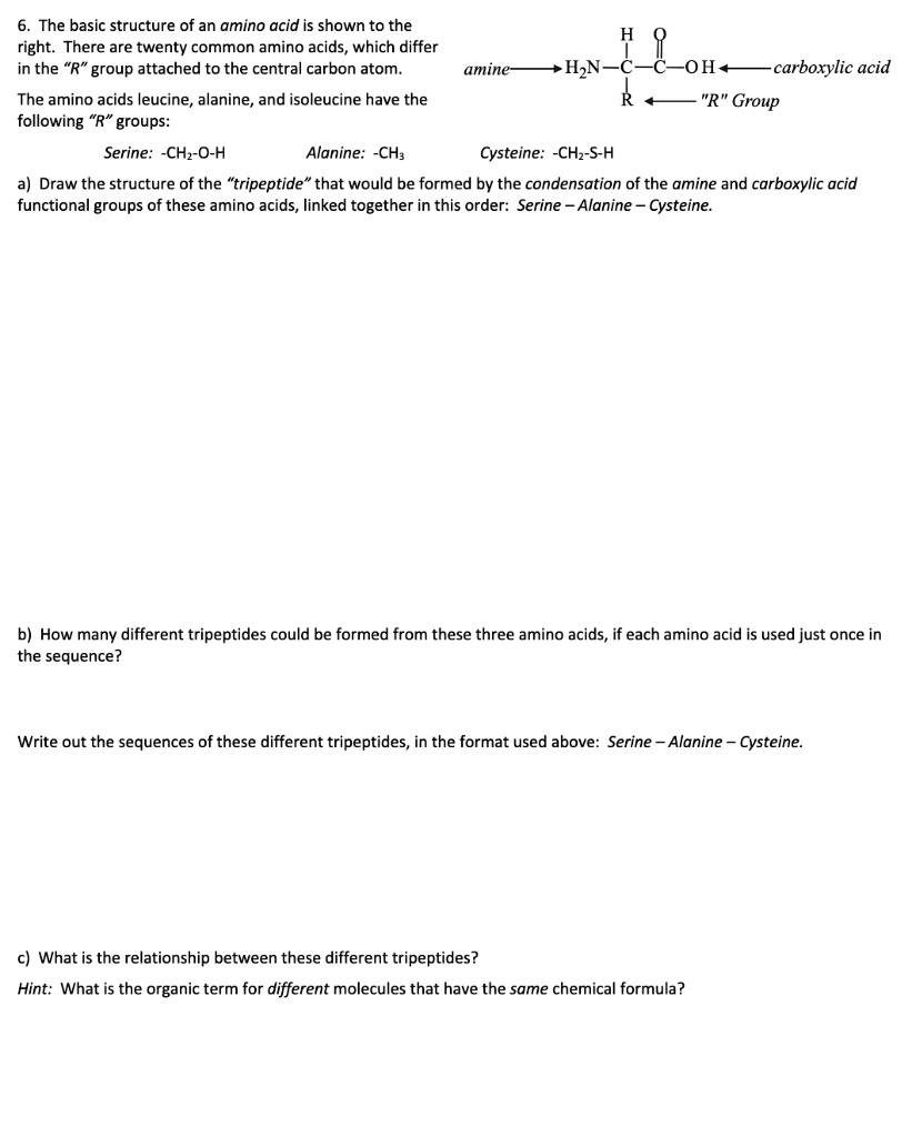 6 the basic structure of an amino acid is shown to the right there are ...