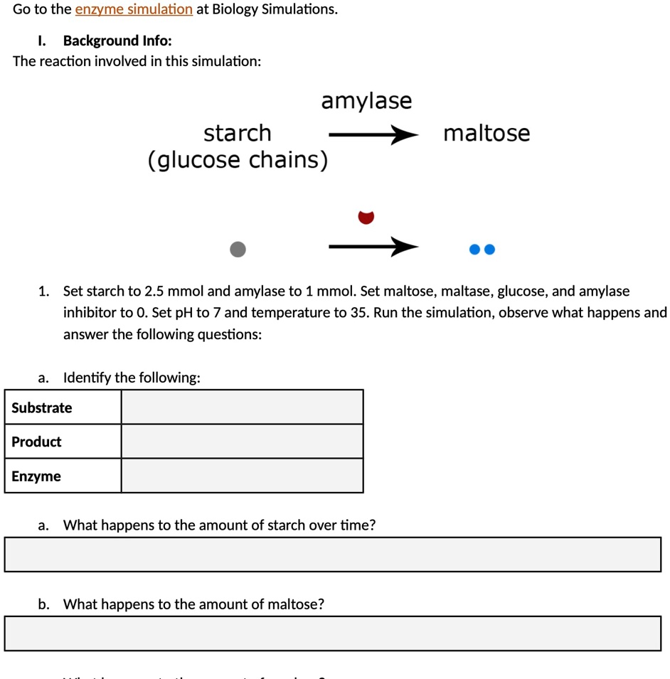 Go To The Enzyme Simulation At Biology Simulations Background Info The
