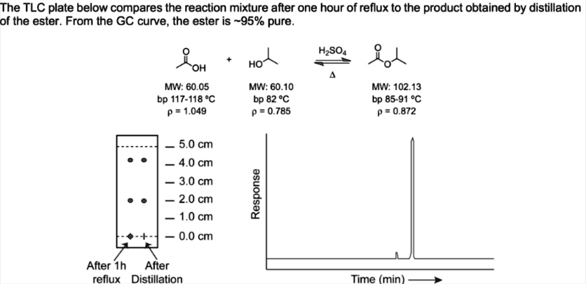 SOLVED: The TLC plate below compares the reaction mixture after one ...