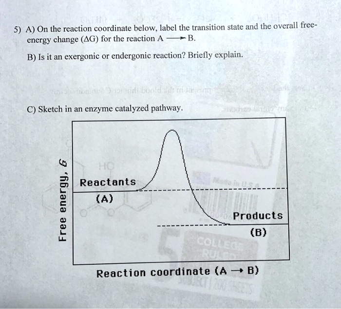 SOLVED: 5) A) On the reaction coordinate below; label the transition state and the overall free ...
