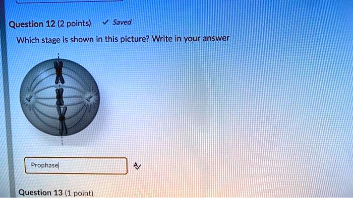question 12 2 points saved which stage is shown in this picture write ... question 12 2 points saved which stage is shown in this picture write ...
