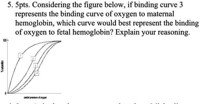 5 spts considering the figure below if binding curve 3 represents the binding curve of oxygen to ...