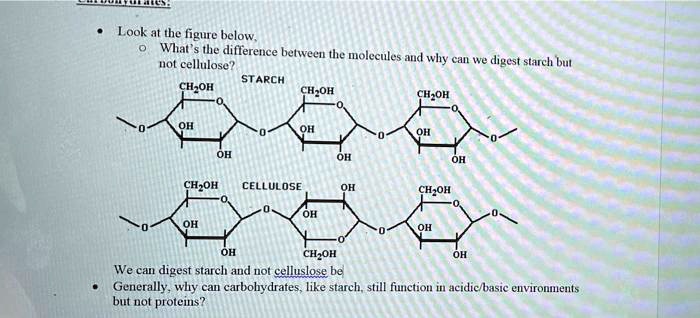 Look at the figure below. What's the difference between the molecules ...