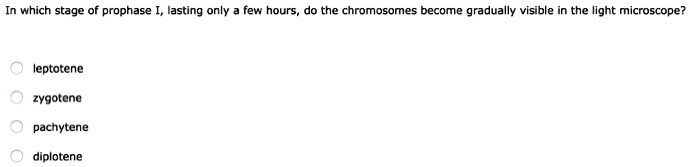 in which stage prophase asting only hours do the chromosomes decomo ...