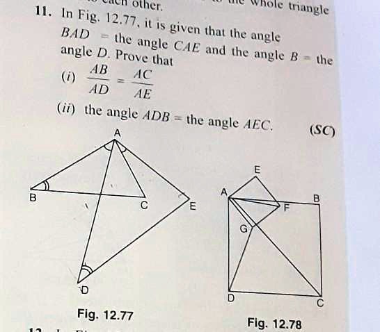 SOLVED: t is given that angle BAD = the angle CAE and angle B = angle D prove that AB/AD = AC/AE
