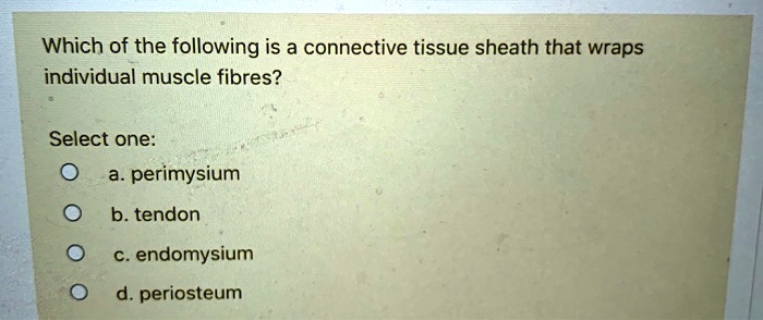 which of the following is a connective tissue sheath that wraps ...