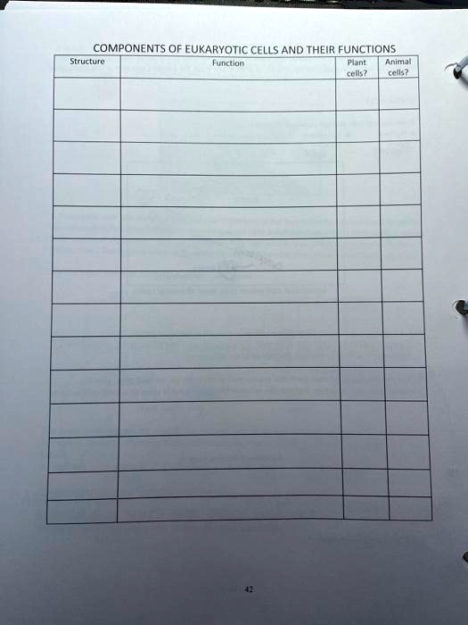 SOLVED: COMPONENTS OF EUKARYOTIC CELLS AND THEIR FUNCTIONS Stqucture ...