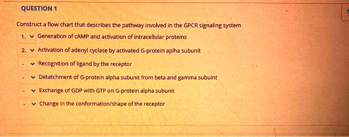 SOLVED:QUESTION Construct flow chart that describes the pathway ...