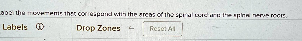 Label the movements that correspond with the areas of the spinal cord ...