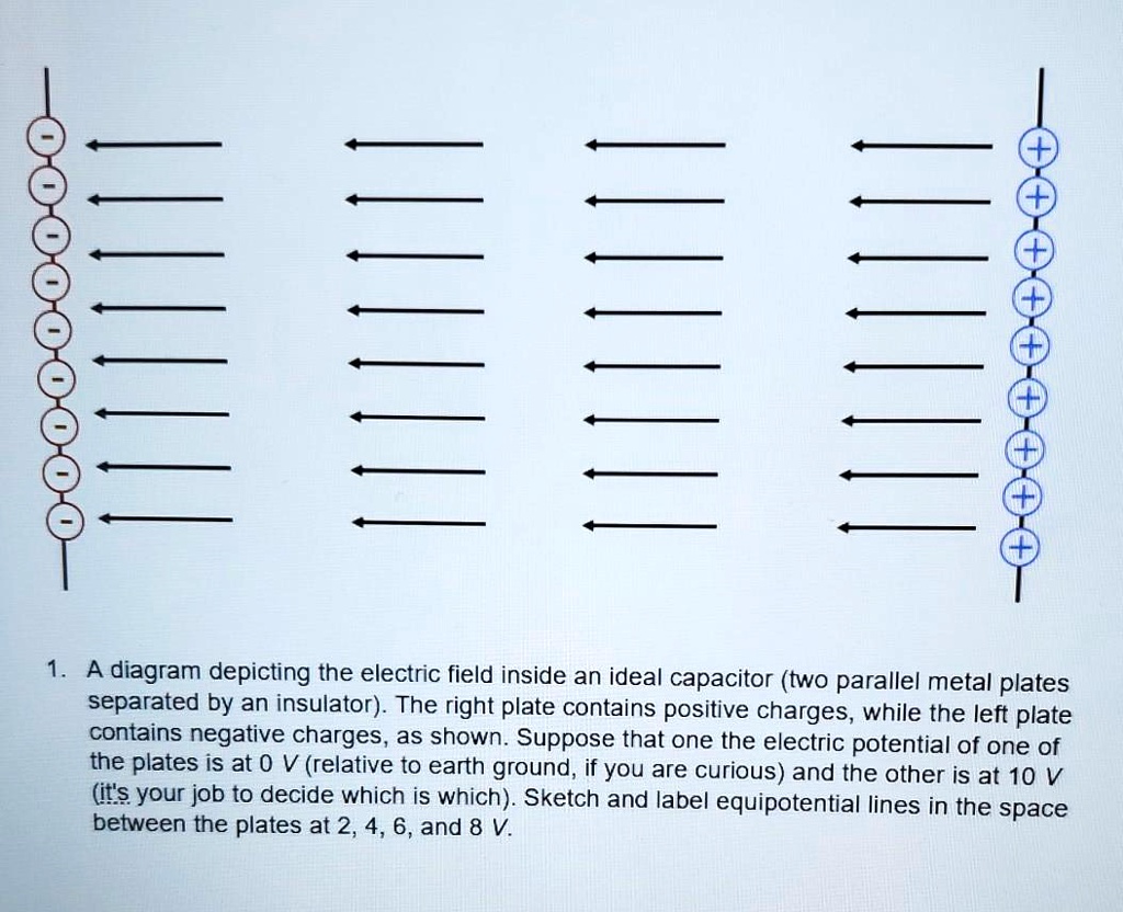 SOLVED: Text: The right plate contains positive charges, while the left ...