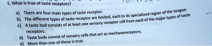 what is true of taste receptors there are four main types of taste ...