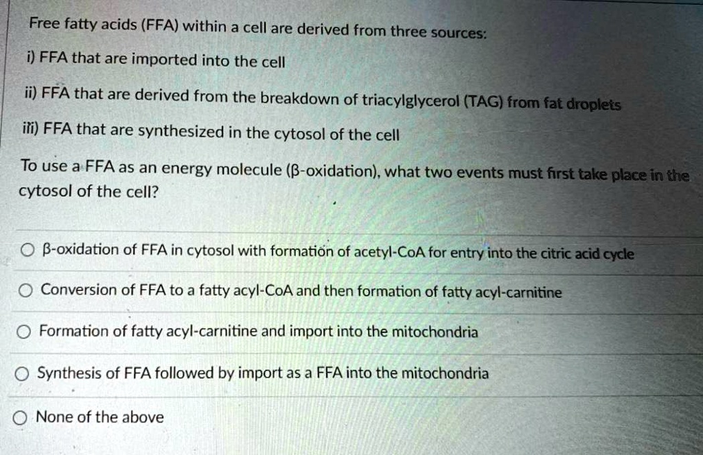 SOLVED:Free fatty acids (FFA) within a cell are derived from three ...
