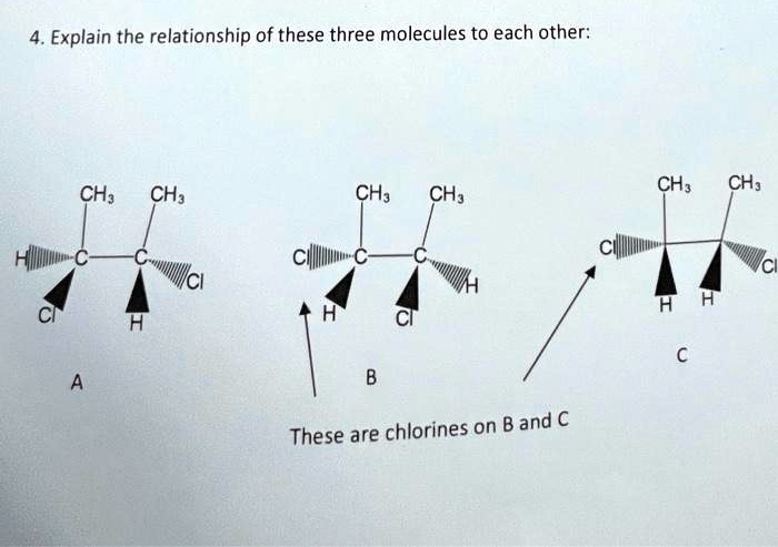 SOLVED: Please Help! 4.Explain the relationship of these three molecules to each other CH3 CH3 ...