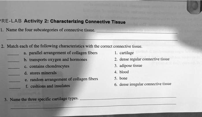 SOLVED: RE-LAB Activity 2: Characterizing Connective Tissue Name the ...