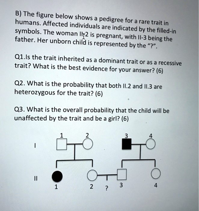 SOLVED: B) The figure below shows a humans Affected pedigree for a rare ...