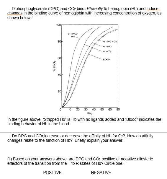 Diphosphoglycerate dpg and coz bind differentiy to...