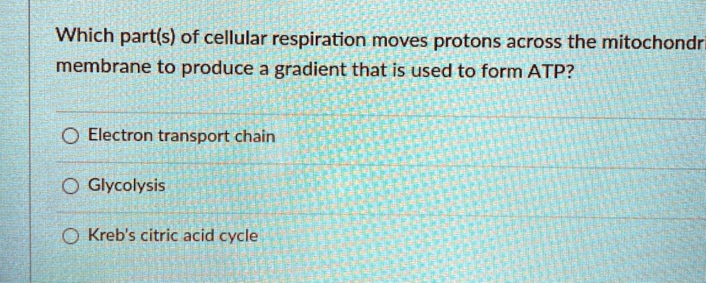 which parts of cellular respiration moves protons across the mitochondrial membrane to produce a ...