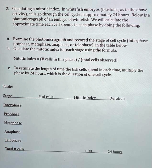SOLVED: Calculating a Mitotic Index: In whitefish embryos (blastulas, as in the above activity ...