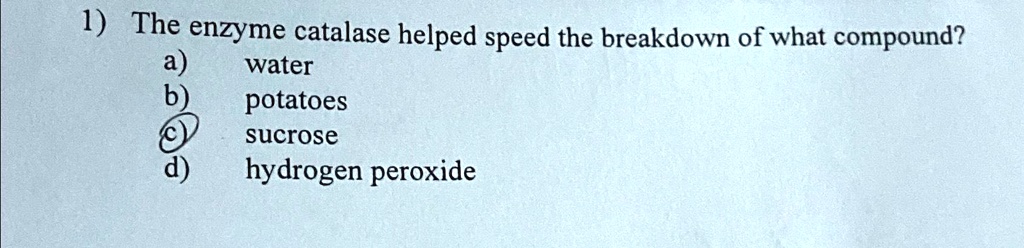 SOLVED: The enzyme catalase helped speed the breakdown of what compound ...
