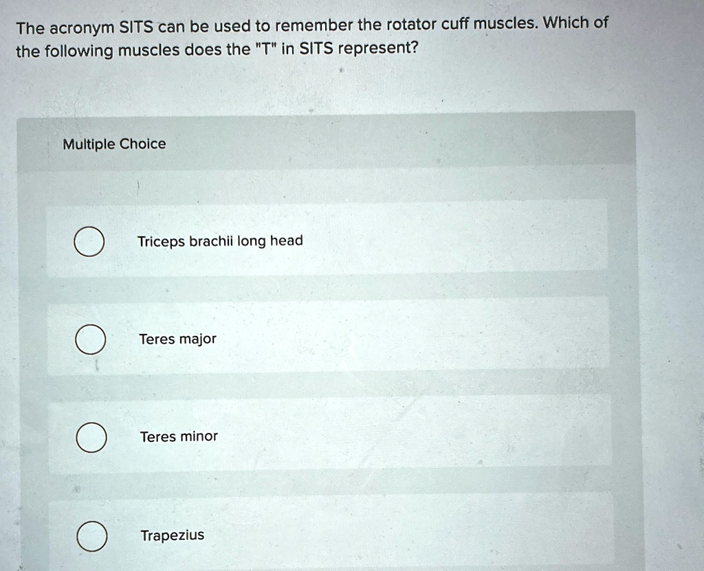 the acronym sits can be used to remember the rotator cuff muscles which ...