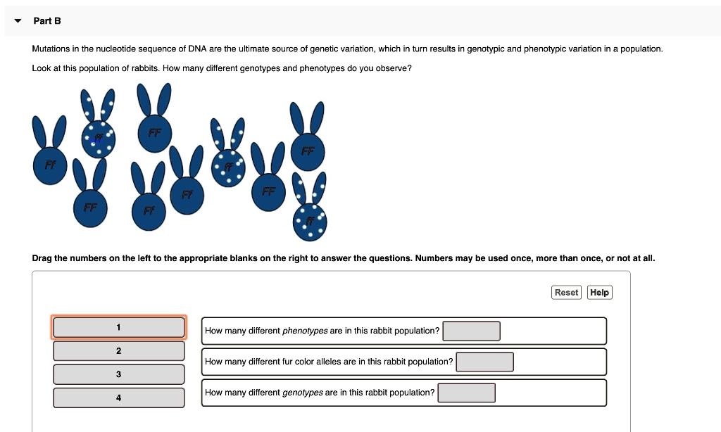 SOLVED: Part B Mutations in the nucleotide sequence of DNA are the ...