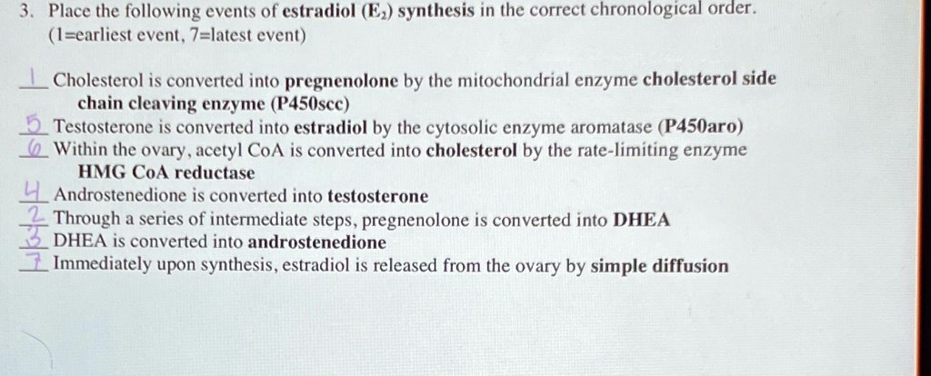 3. Place the following events of estradiol (E2) synthesis in the ...