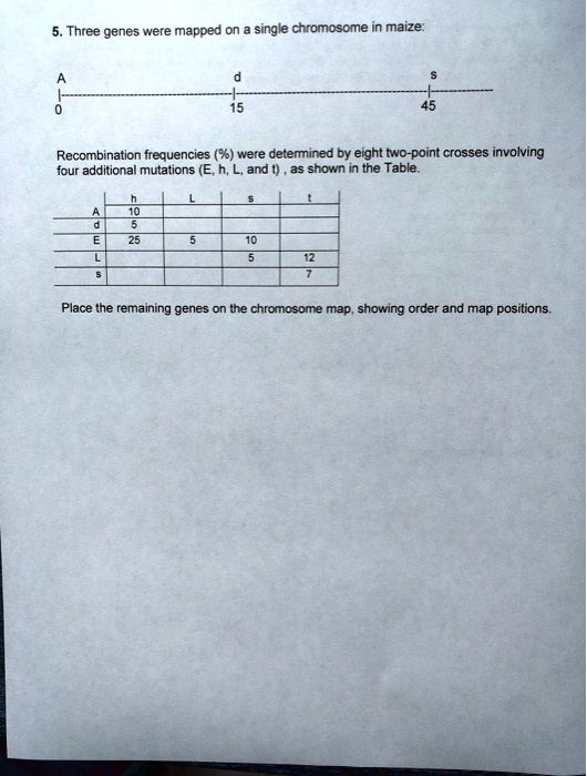 SOLVED: Three genes were mapped on single chromosome maize Recombination frequencies (%) were ...