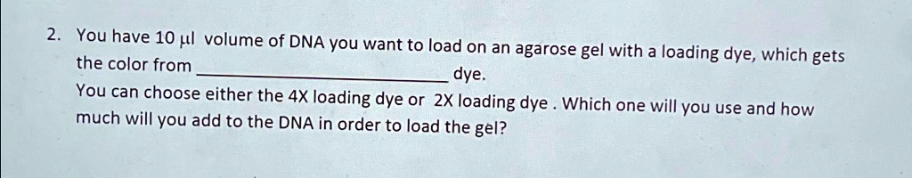 2. You have 10 µl volume of DNA you want to load on an agarose gel with ...