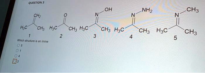 QUESTION 3 OH CH3 CH2 H2C CH3 H2C CH3 H2C CH3 H3C CH3 H3C Which structure 37 is mine NH2 CH3