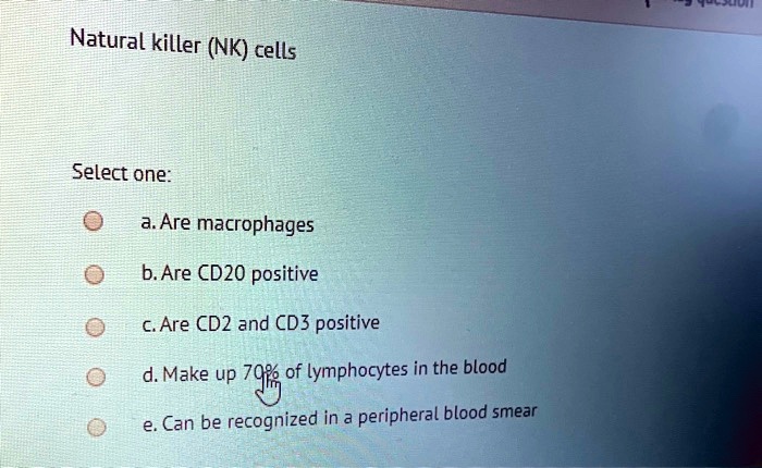 natural killer nk cells select one aare macrophages b are cd2o positive ...